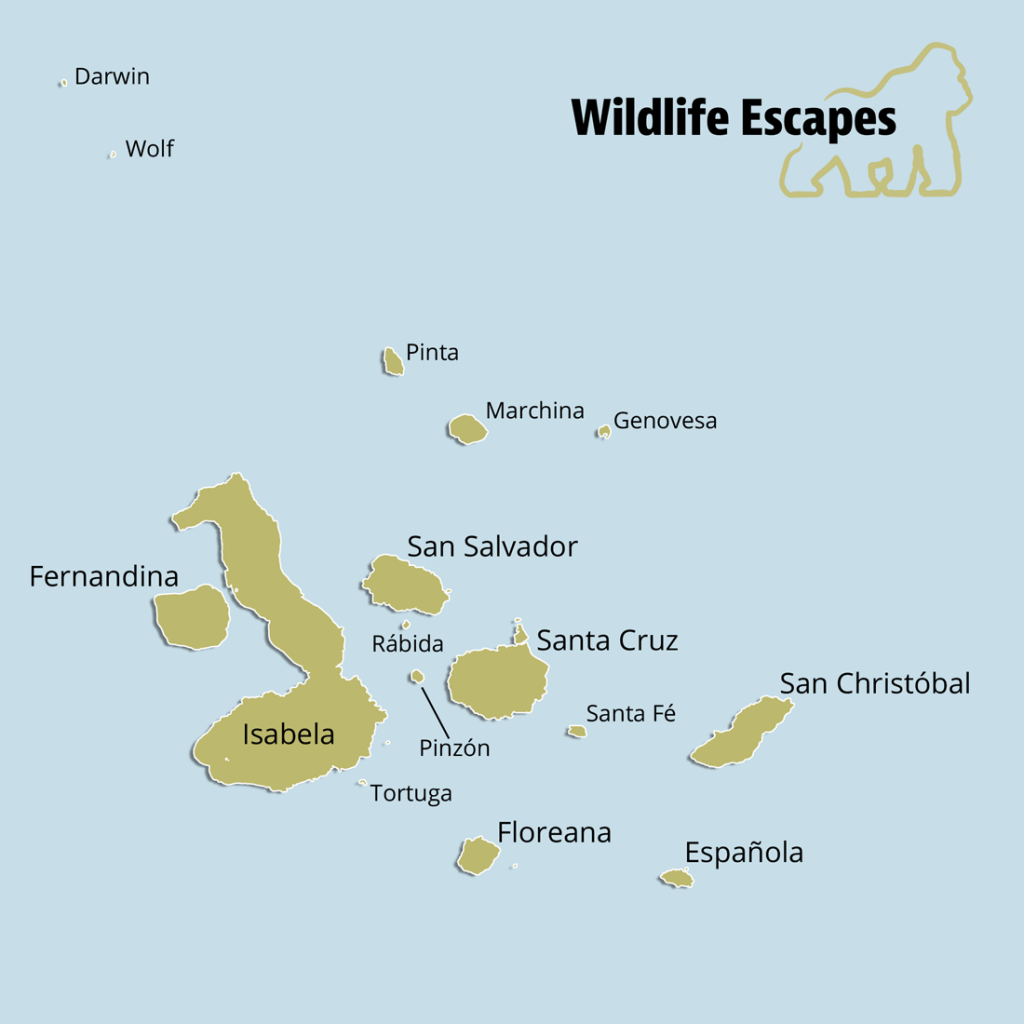 Galápagos Encounters - Wildlife Escapes